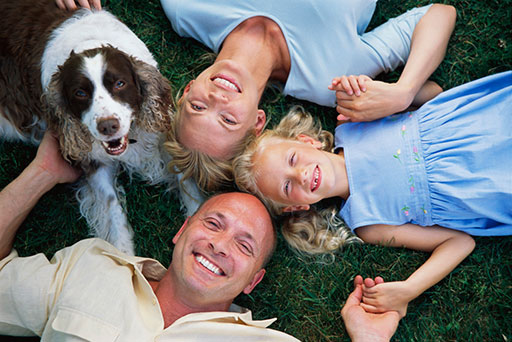 Pet Sitting Services | Pet Nanny of Trinity